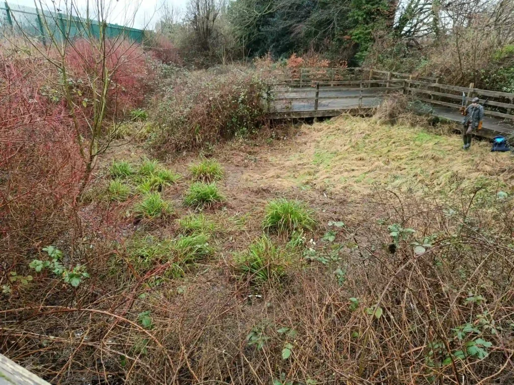 Creating a nature park - Cotswold Diary